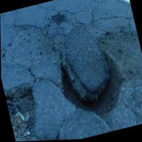 YOLOV11 Potholes Detection - Roboflow Universe