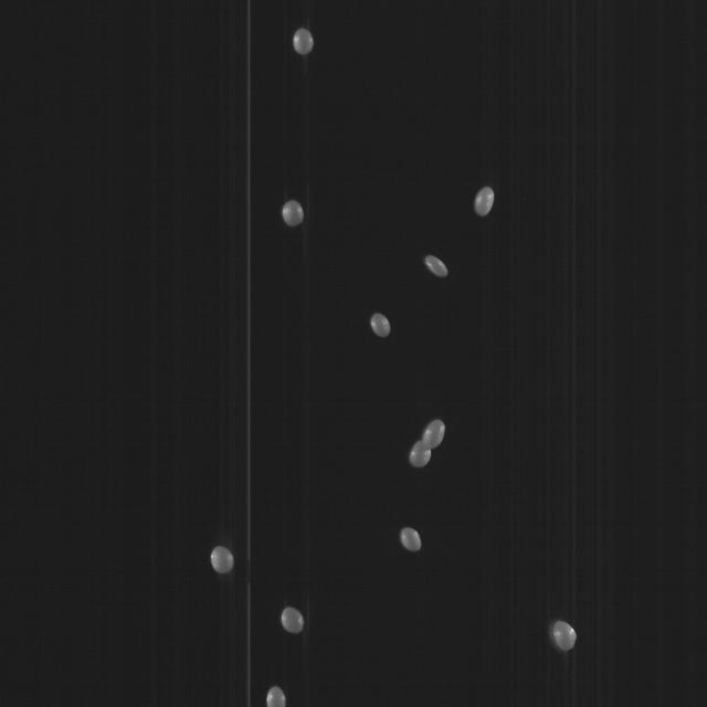 segmentation (segmentation-rqojn) - Roboflow Universe