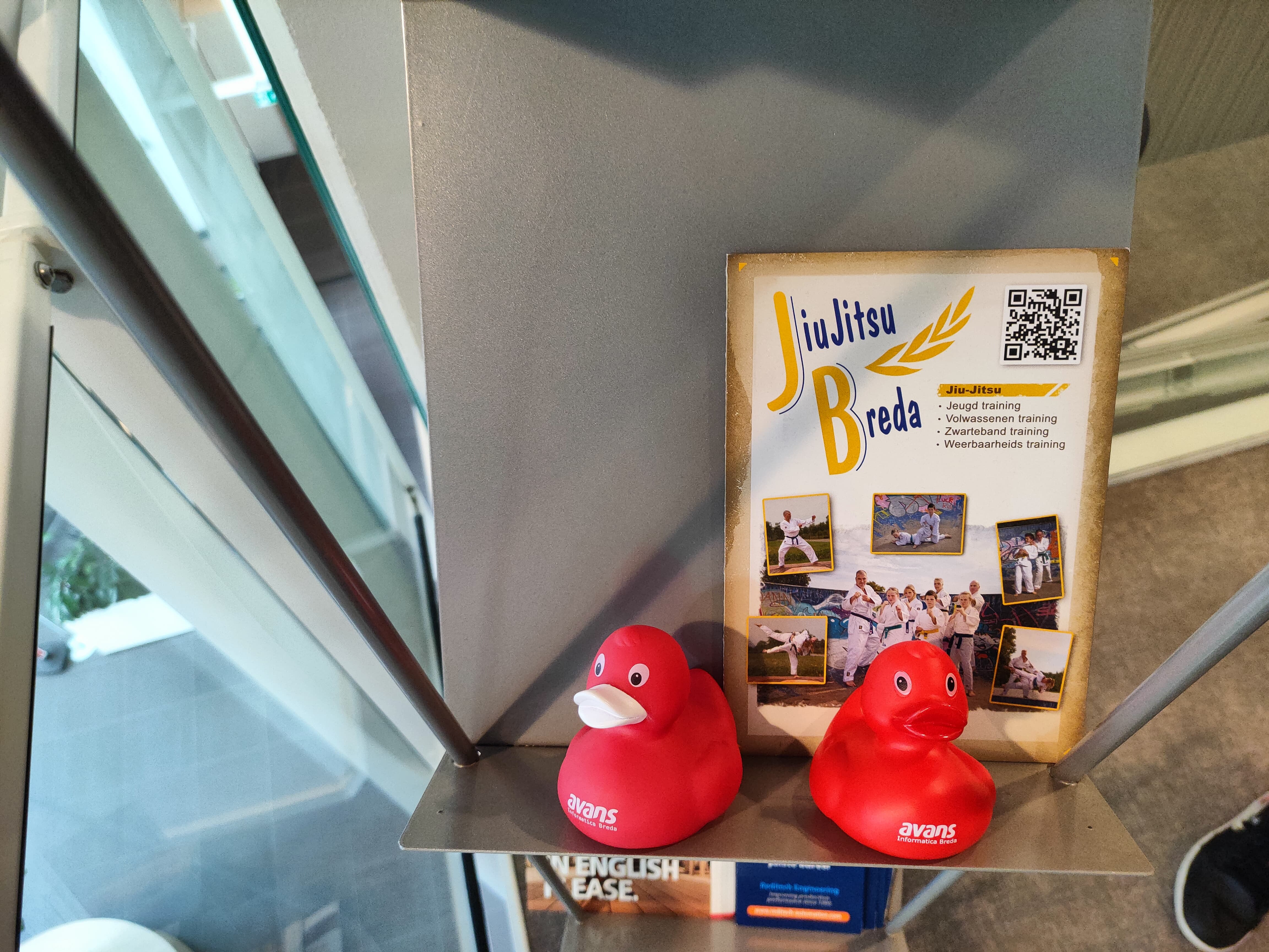 Ducks Object Detection Model by Teenage Mutant Ninja Turtles