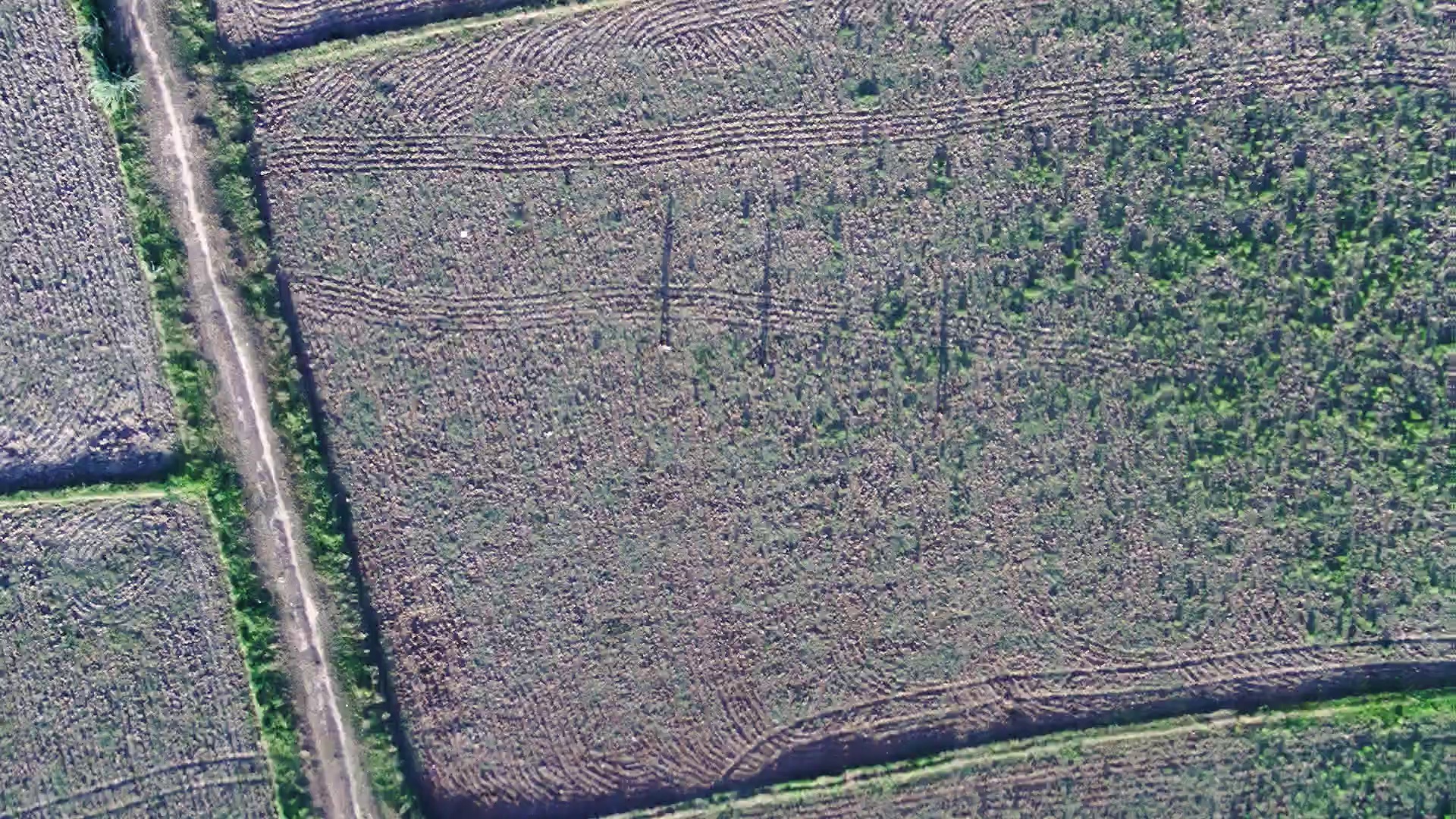 300m Human Object Detection Dataset By Objectdetection