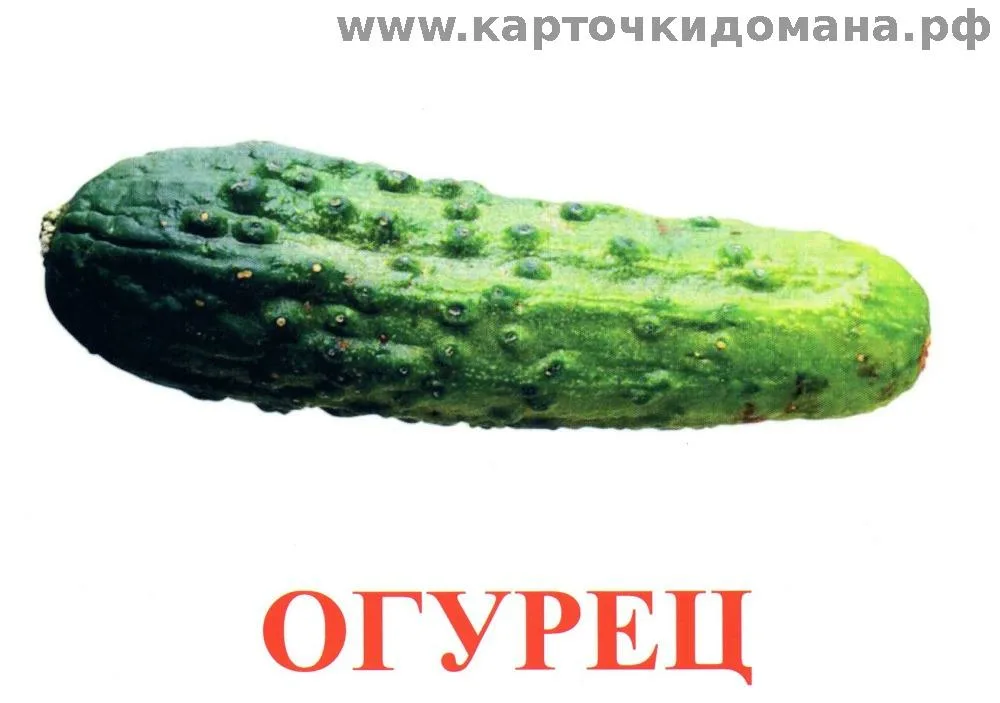 Cucumber Object Detection Dataset And Pre Trained Model By Cucumber