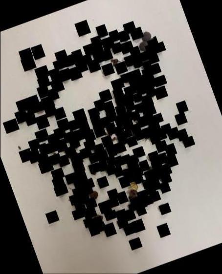 Counting pasi-malai Object Detection Model by Mariswary Deepak