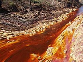 Mariswary Deepak (mariswary-deepak-4ajr0) - Roboflow Universe