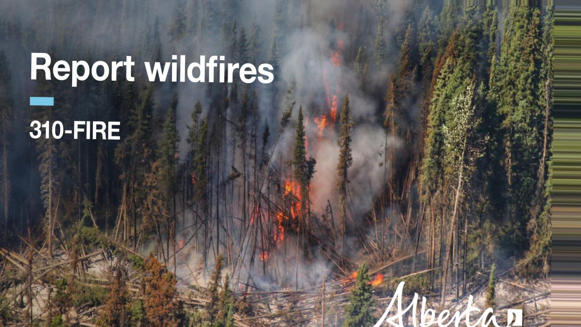 Wildfire Object Detection Dataset by AI3