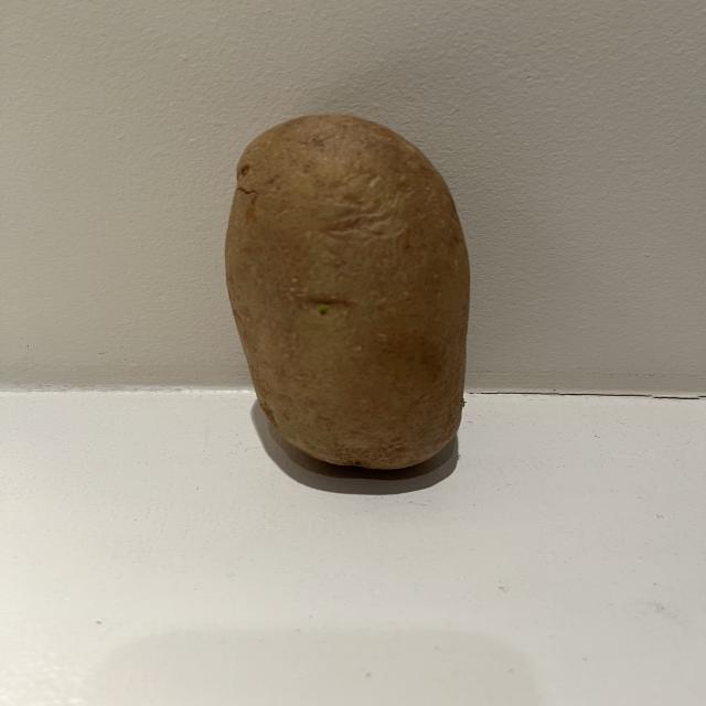 Proj Instance Segmentation Dataset And Pre Trained Model By Tafila Technichal University