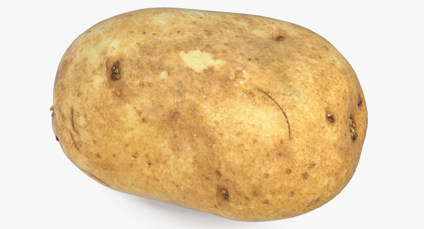 potato Object Detection Dataset by RR