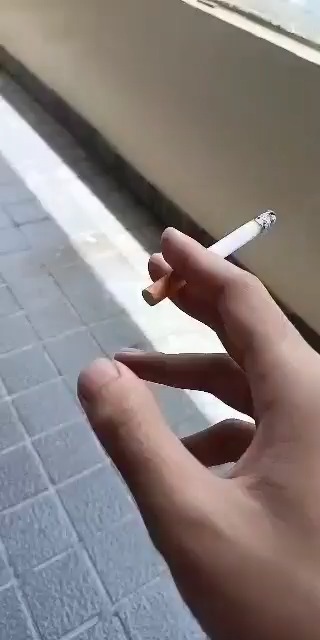 Cigarettes Detection Object Detection Model By Cigarettesdetection