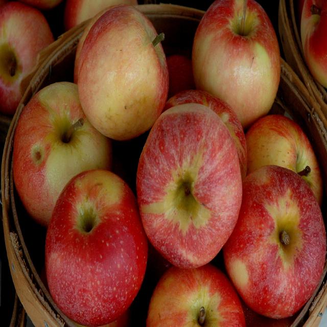 Fruit detection yolov8s Instance Segmentation Dataset by Akshatas Workspace