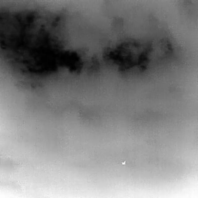 Bird Object Detection Dataset by TFNet Night Vision