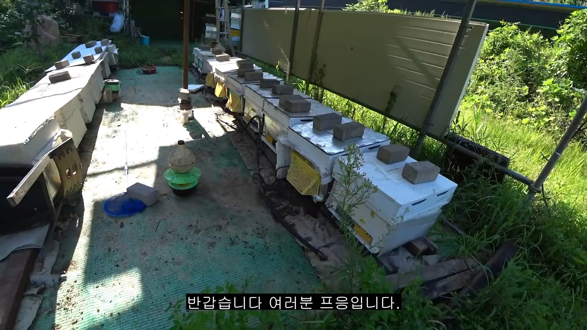 Beehive (beehive-5vhyx) - Roboflow Universe