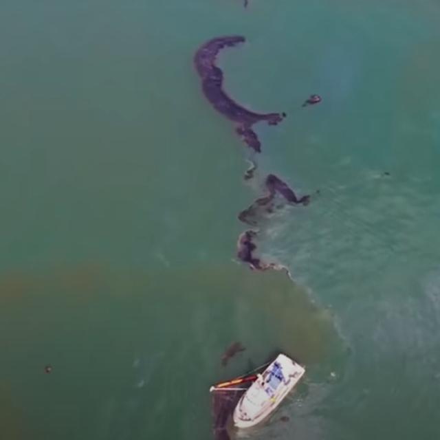 Oil_Spill Instance Segmentation Dataset by KrisMol