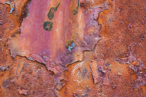 Fushi Object Detection Dataset By Liangs