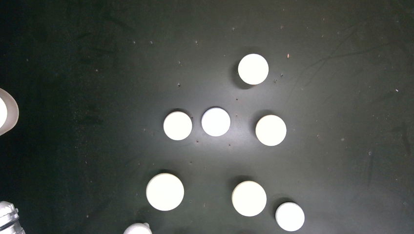 Mushroom Object Detection Dataset By Liangs