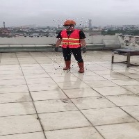 qweds Object Detection Dataset by EPIDETECT