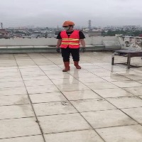 ppe Object Detection Dataset and Pre-Trained Model by EPIDETECT