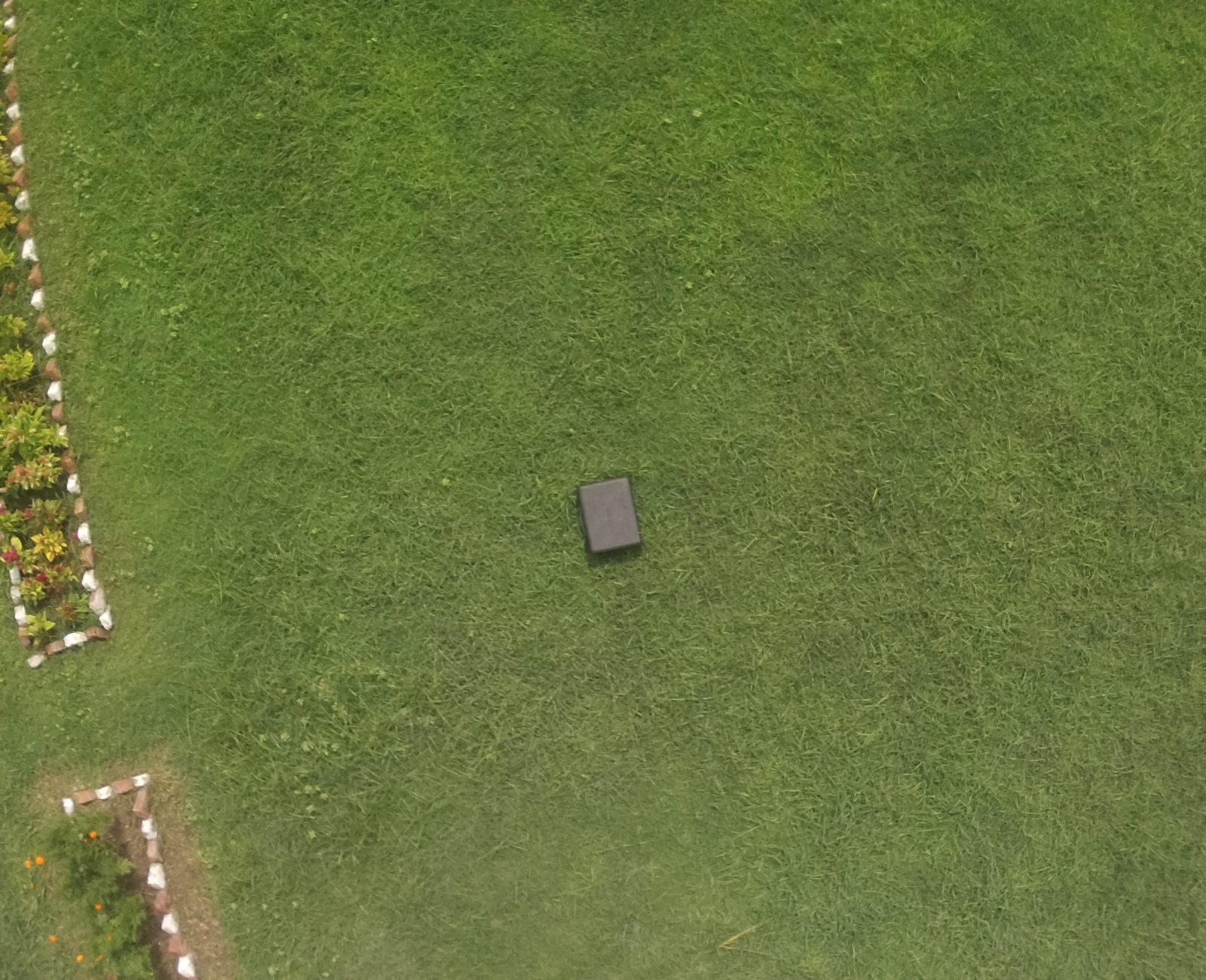plant detection Object Detection Model by Workspace 01