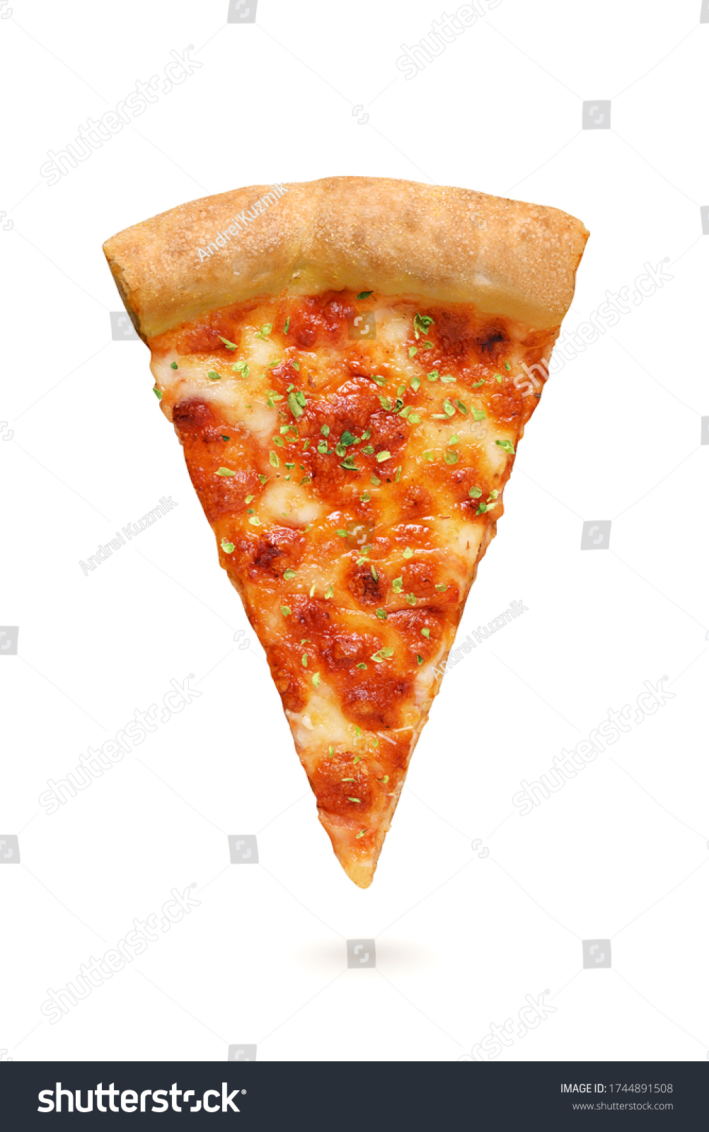 pizza Object Detection Model by elad workspace