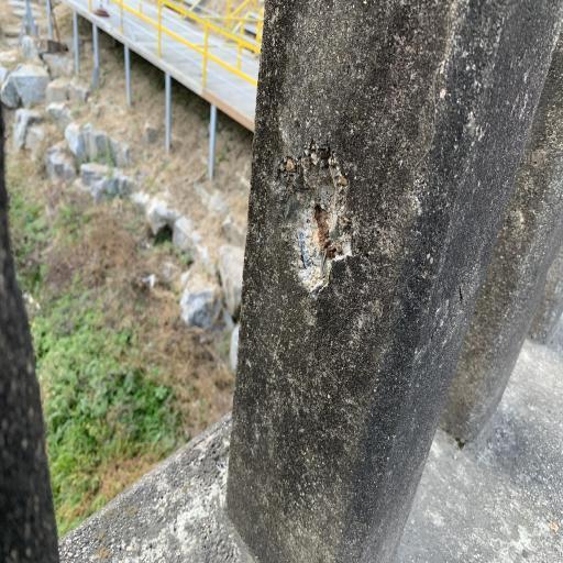 Exposed Reinforcement Bleeding Instance Segmentation Dataset By Seungjunlim