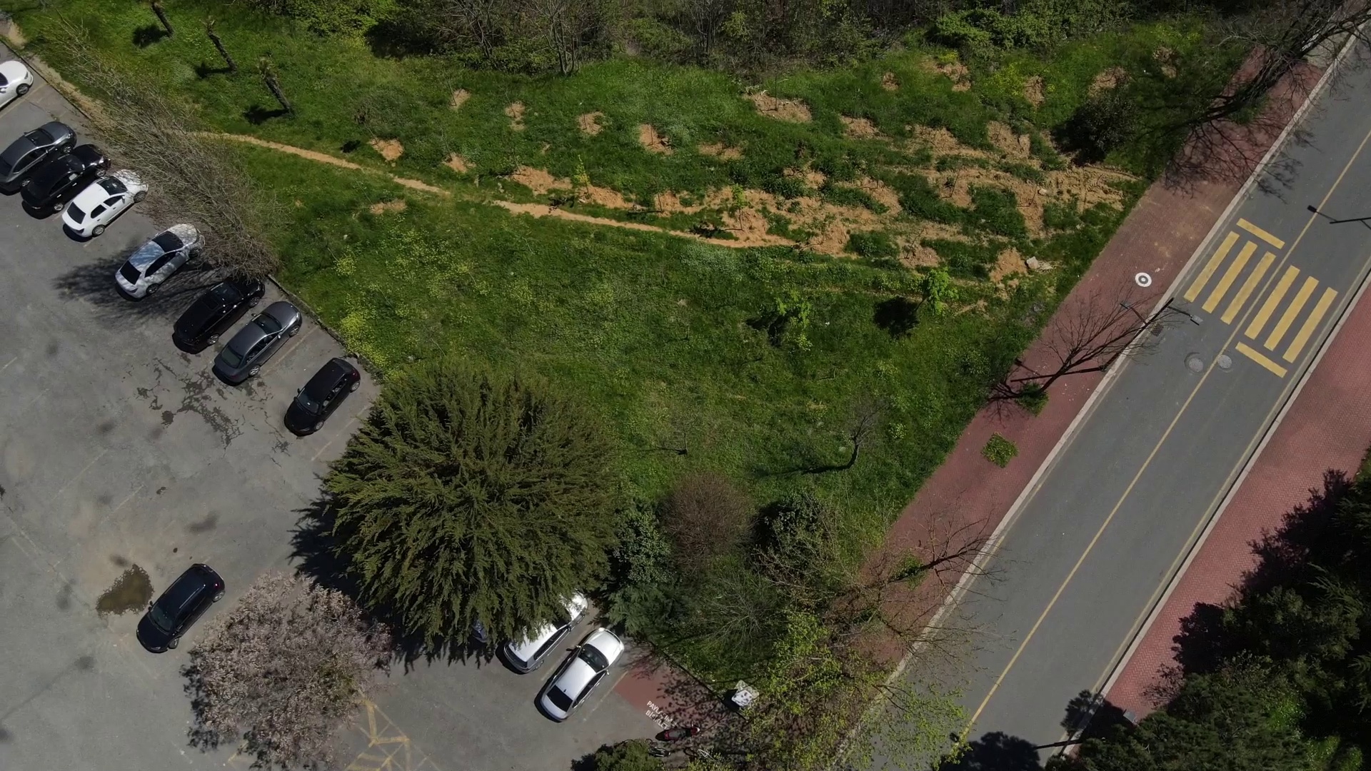 dasdsa sdasdasd Object Detection Dataset by yey