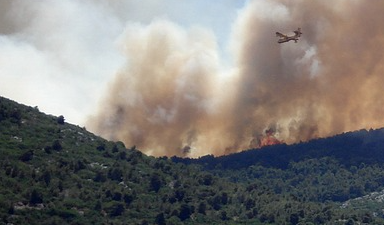 asap dan api Classification Dataset by smoke and fire