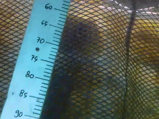 Rov3 6 Kelas Classification Dataset By Rov Project