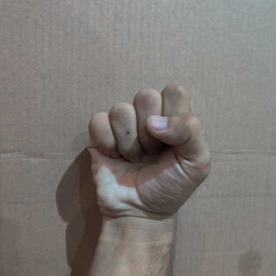 new gestures Object Detection Dataset and Pre-Trained Model by hand gestures