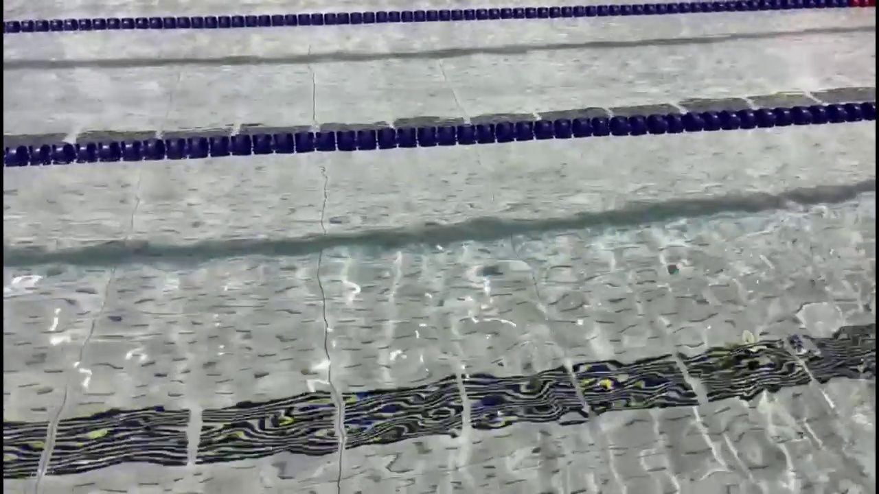 dt Object Detection Dataset by swim