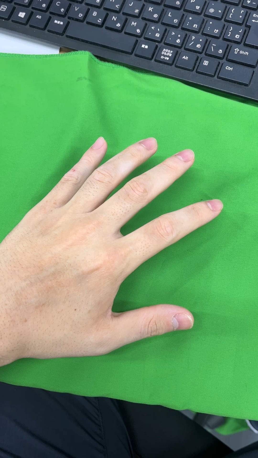 NAIL Instance Segmentation Dataset by Kameiworkspace