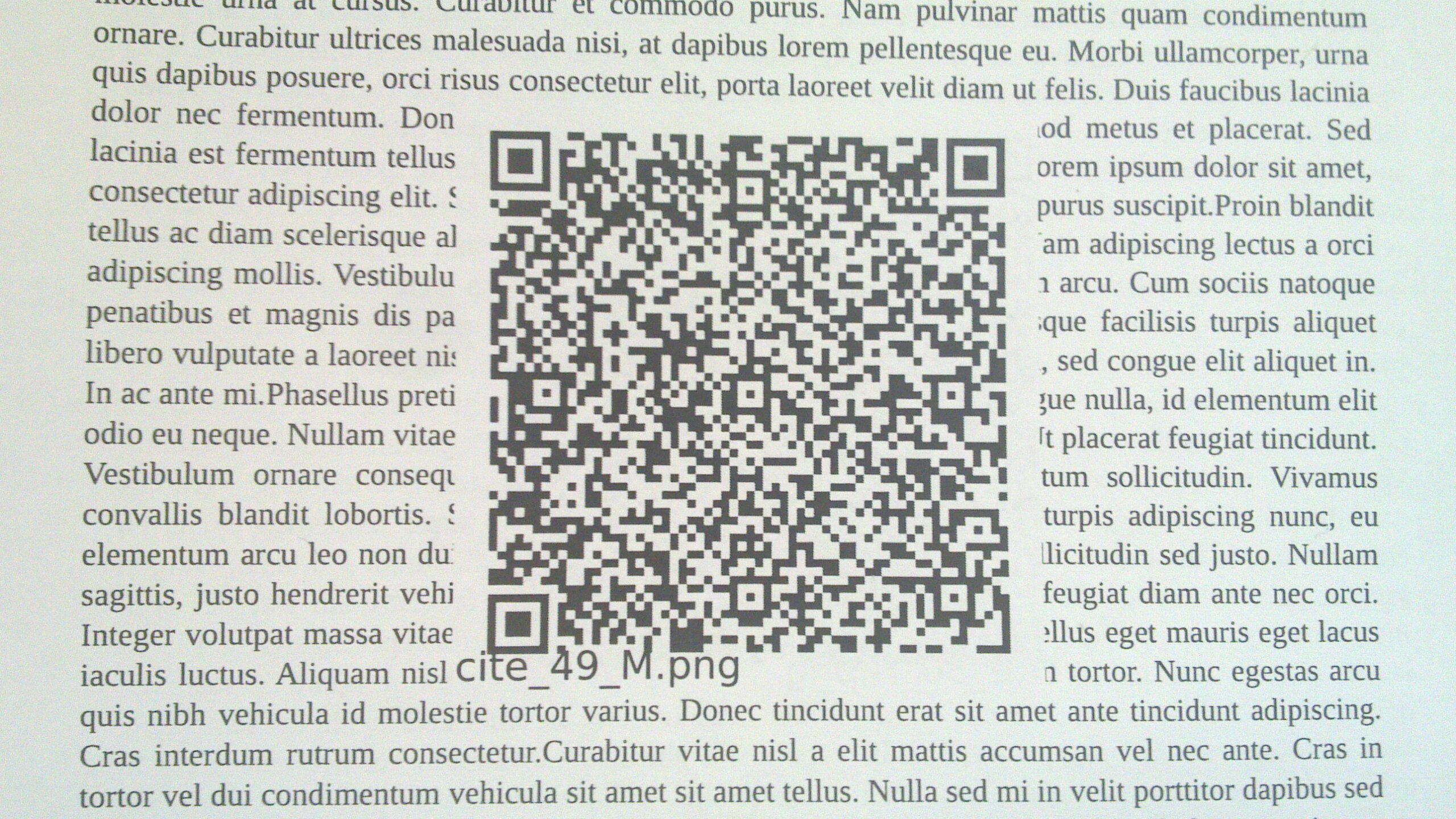 QR_DT_2_RB Object Detection Dataset by QRs