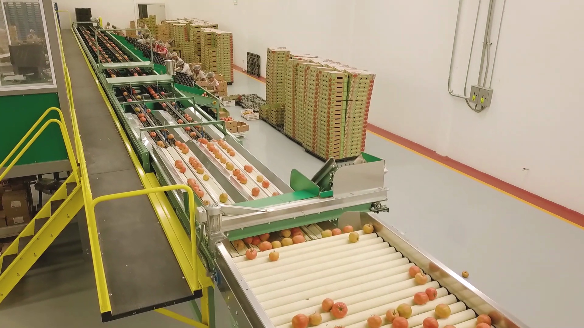 Detection_factory_line Object Detection Model by rana