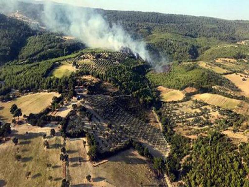 FOREST FIRE 2 Object Detection Dataset by fault detection