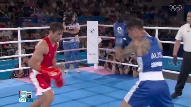 Boxing Punch Detection Classification Dataset by vardhan