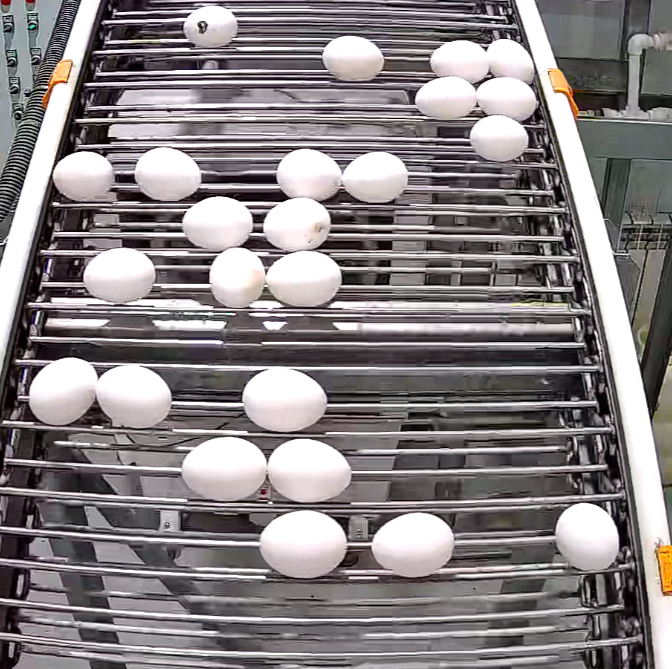 Dataset Object Detection Dataset By Work