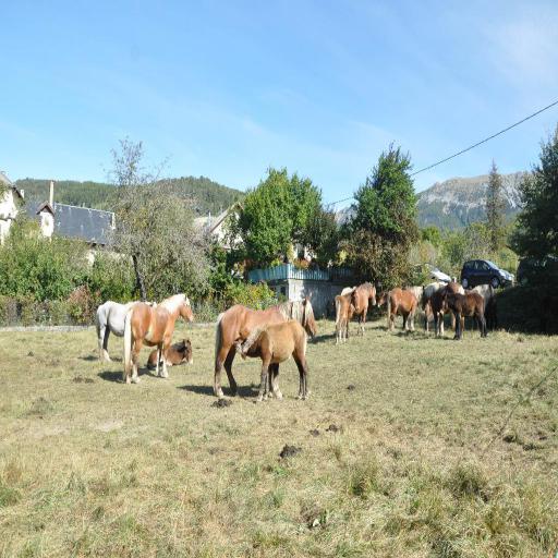 Animals5 Object Detection Dataset And Pre Trained Model By Yolov5