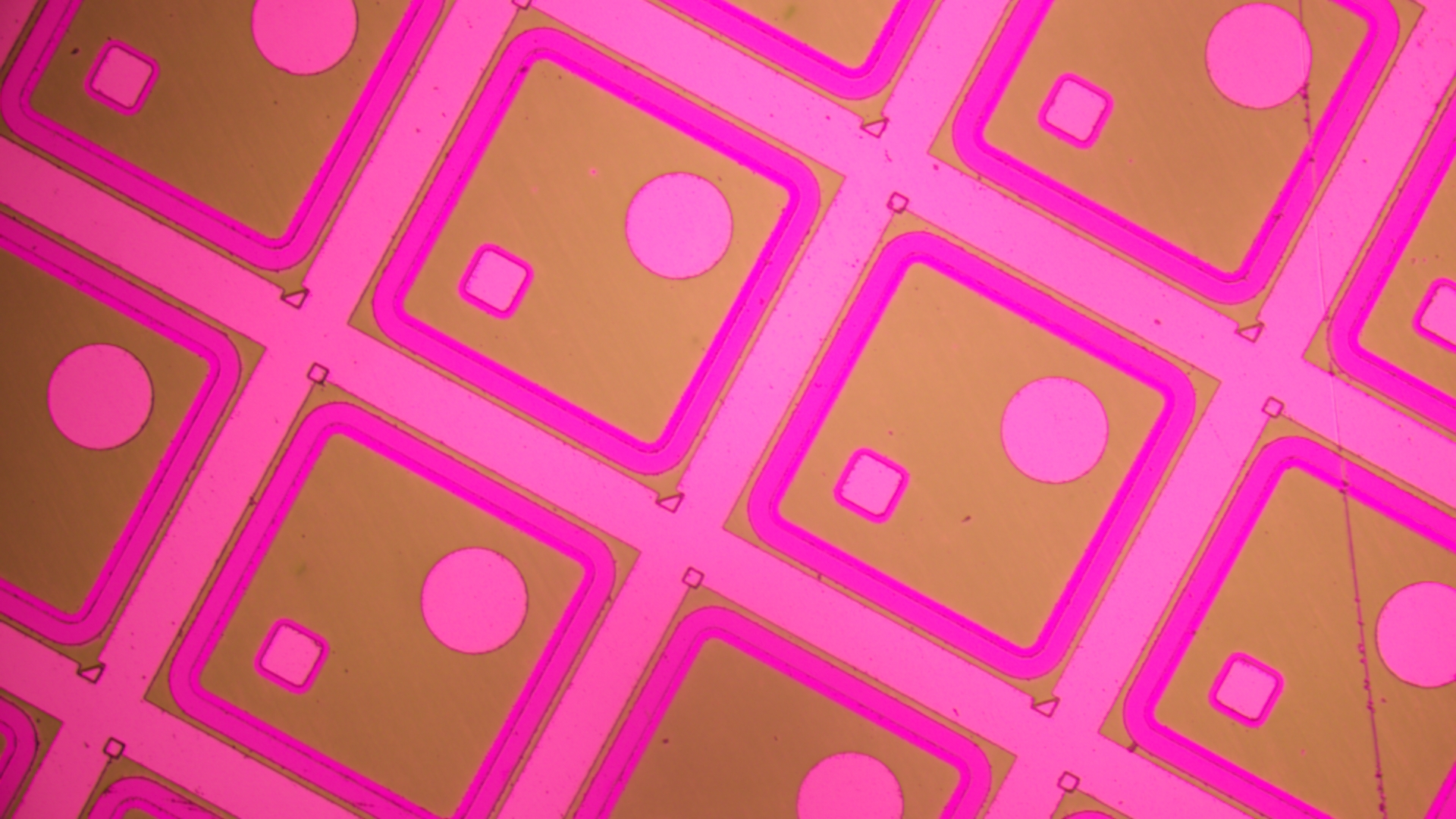 Wafer Test Object Detection Dataset And Pre Trained Model By Project 4bwbk