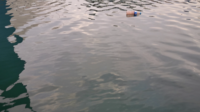 waste_detection Object Detection Dataset and Pre-Trained Model by waste ...