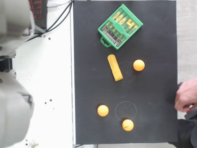 August Demo Dataset Object Detection Dataset By Hucenrotia Lab