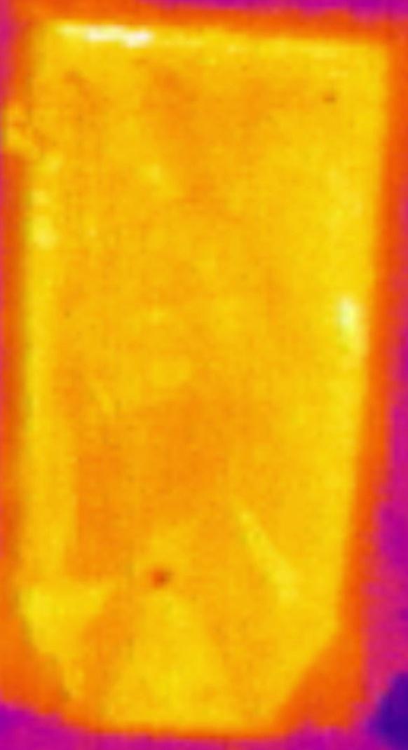 Detect_Spot Object Detection Dataset and Pre-Trained Model by Wood ...