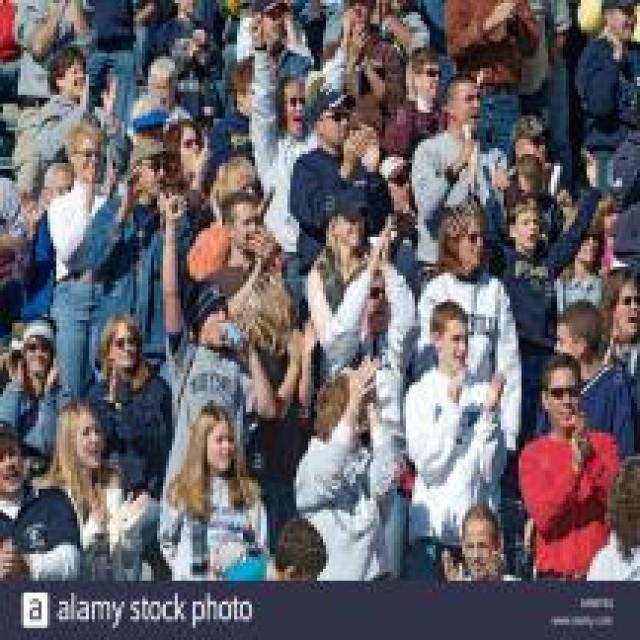 Crowd counting Object Detection Dataset by green balls