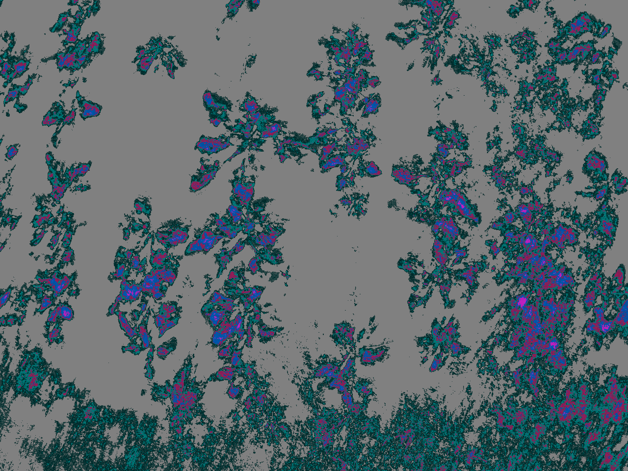 Weed And Crop Detection Object Detection Model By Weedsandcrops