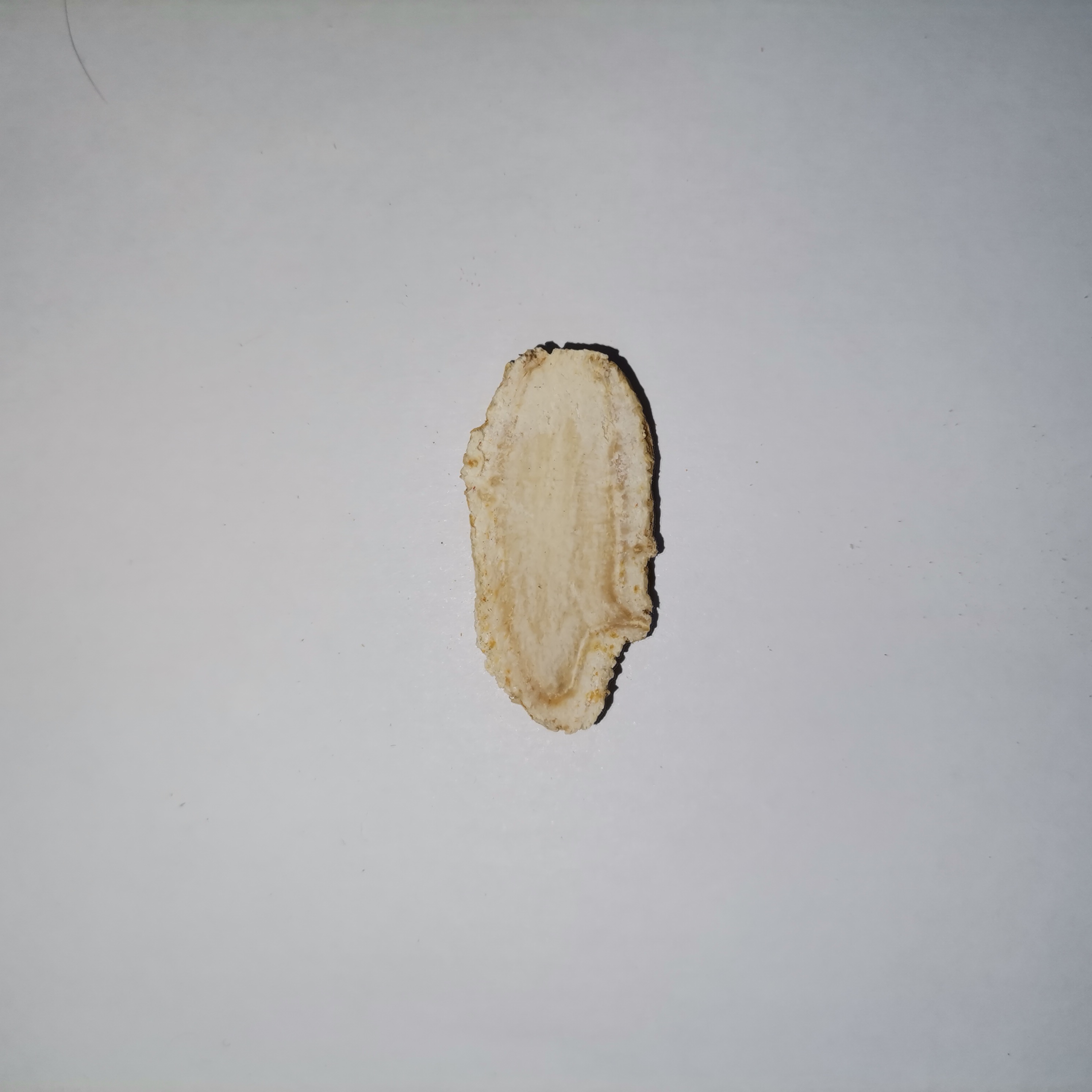 Chinese Herbs Object Detection Model by FYP