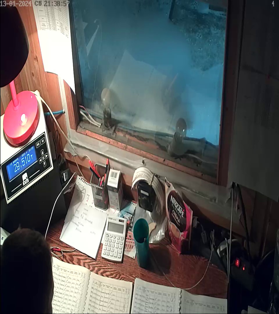 scale indicators Object Detection Dataset and Pre-Trained Model by project-3dczy