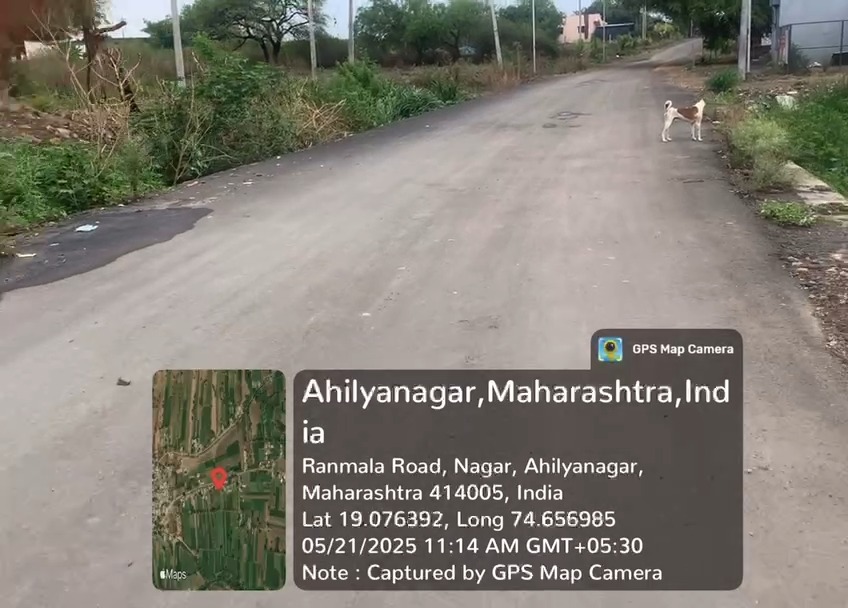 road detection 1 Instance Segmentation Dataset and Pre-Trained Model by Road detection