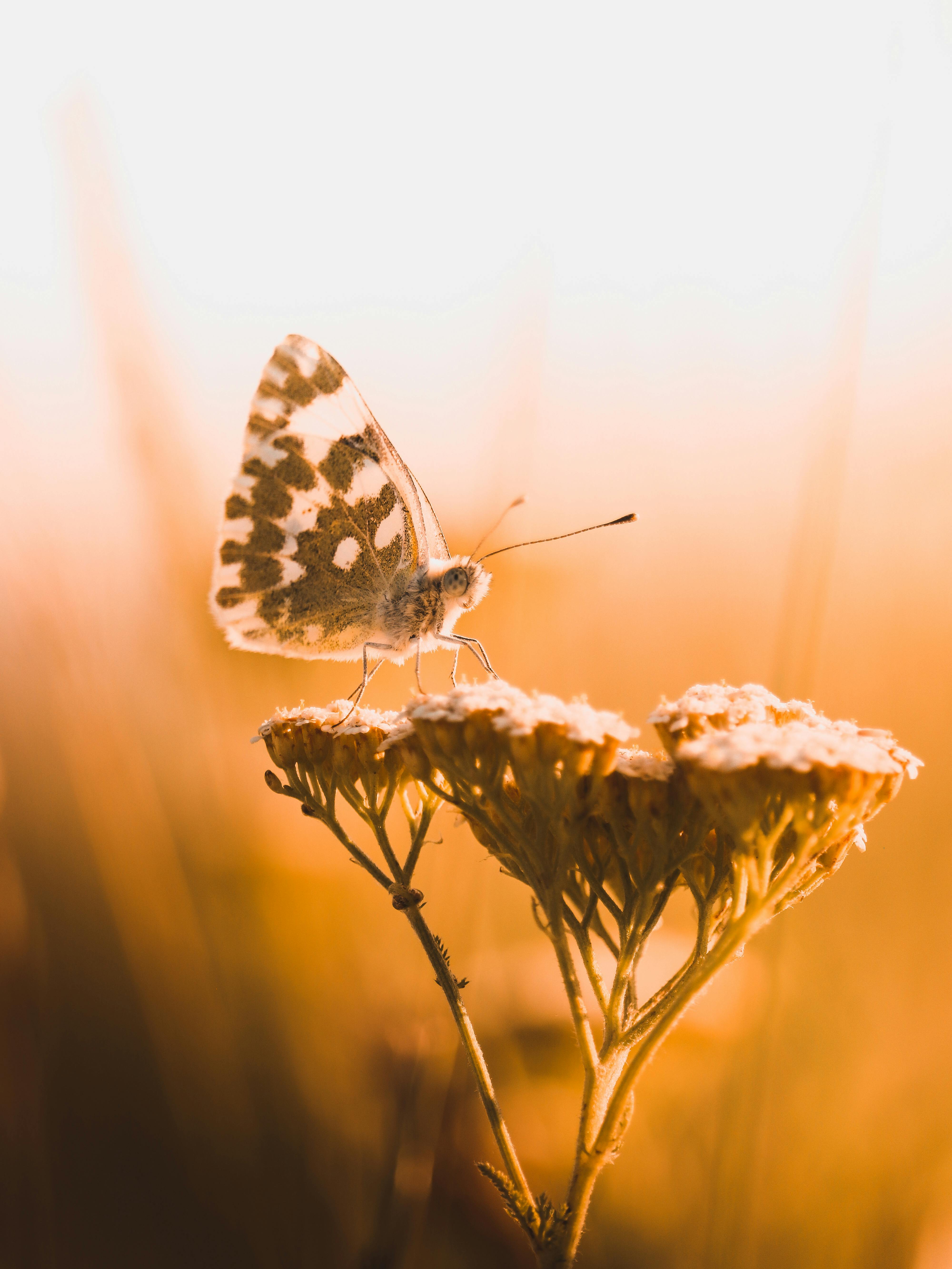 Qi Ding (qi-ding-acjjf) - Roboflow Universe