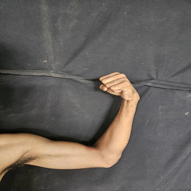Human Arm Pose Keypoint Detection Dataset by Origo NITC