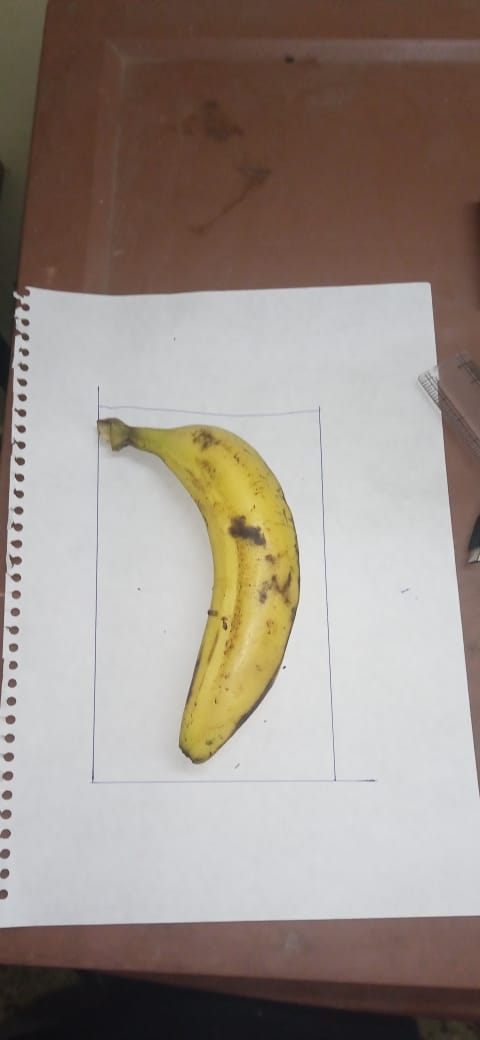 Frith Freshness Detection Object Detection Dataset By Food Banana