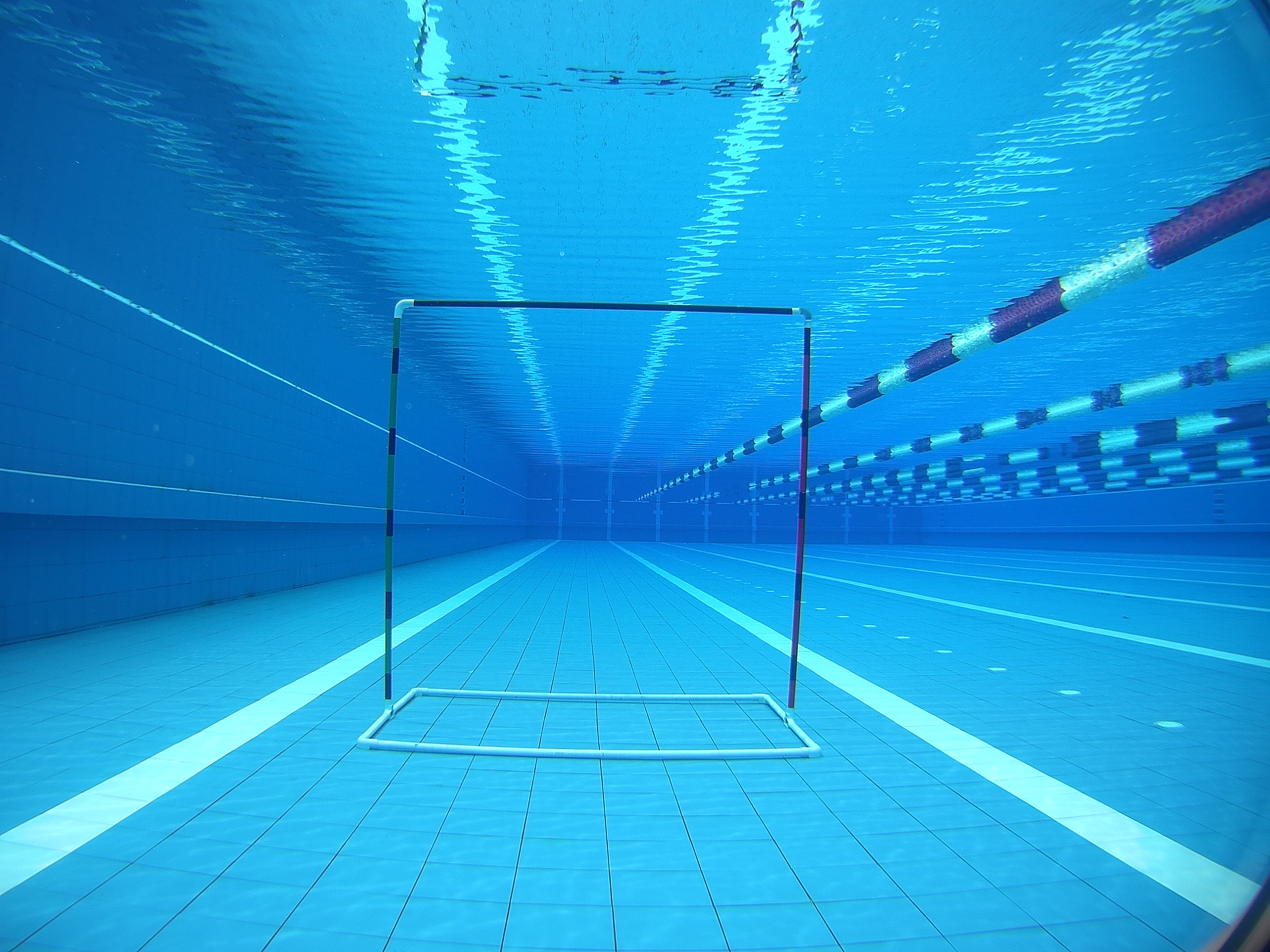 AUV Object Detection Dataset and Pre-Trained Model by Tam