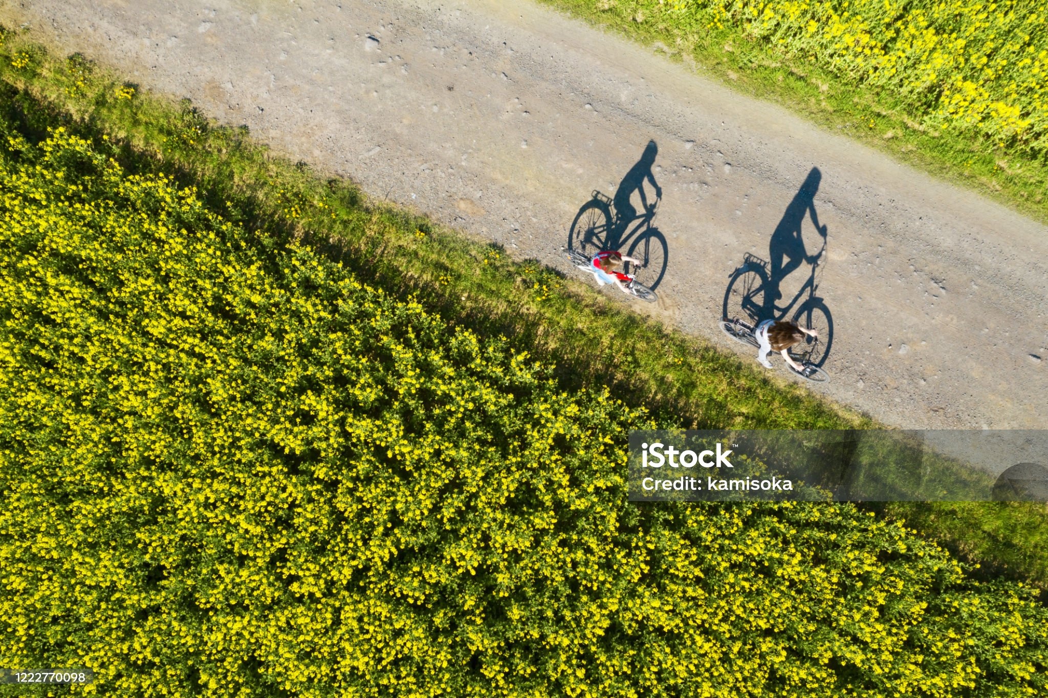 iStock_asya Object Detection Dataset by ws