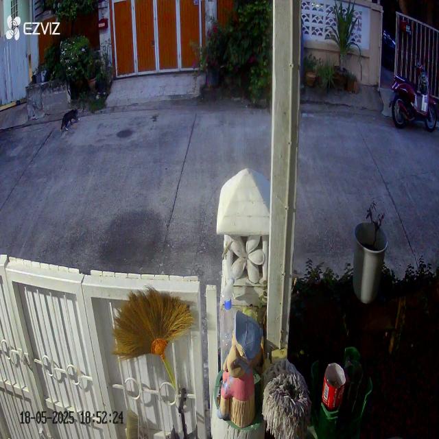 YOLOv12n_Segmentation Instance Segmentation Dataset by project-twhrq