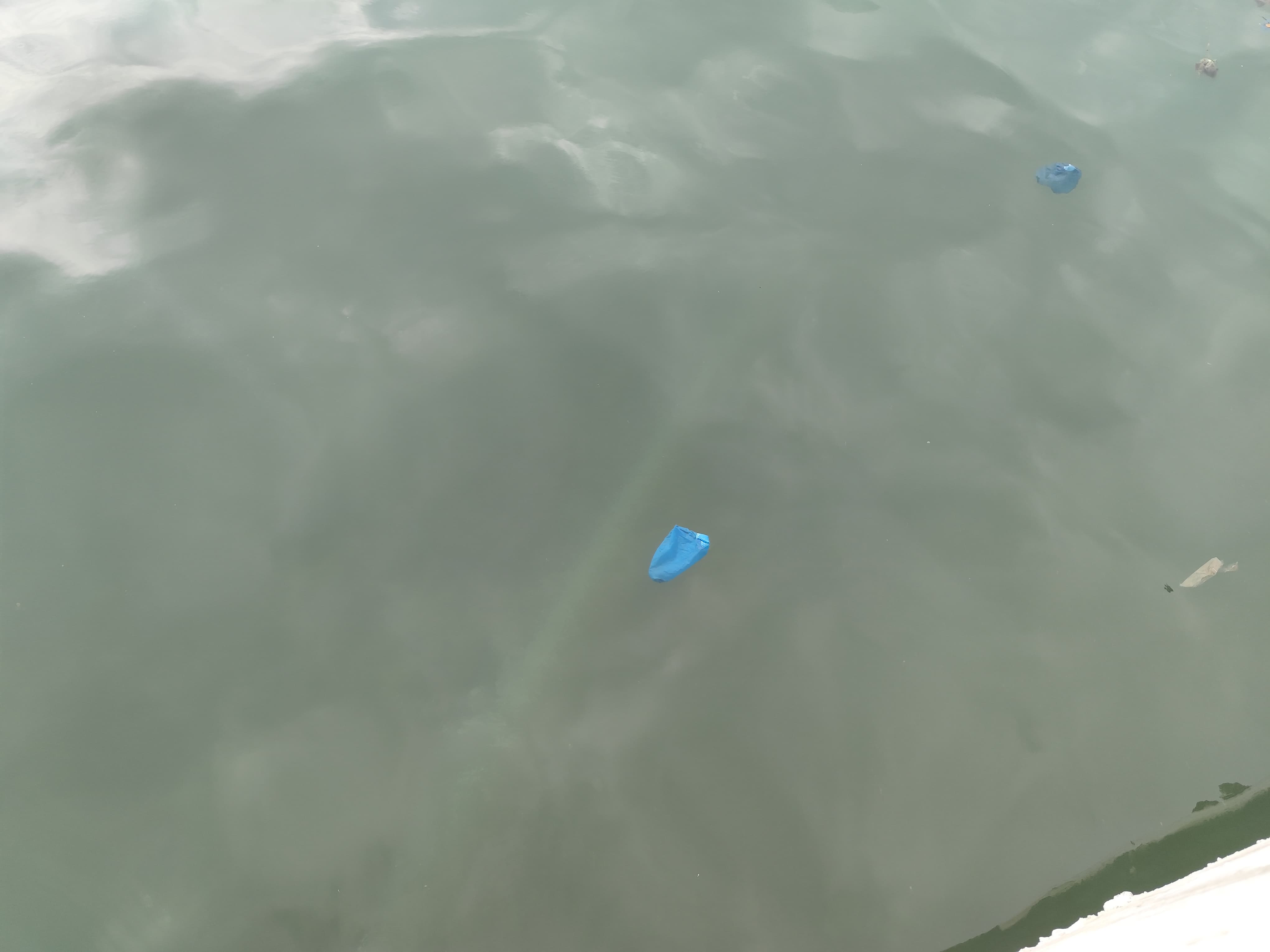 Classification Marine Debris Object Detection Dataset By Penelitian Skripsi